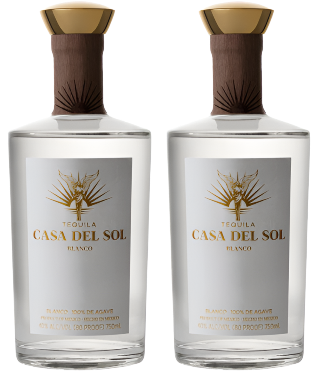 Casa Del Sol Blanco Tequila 2 Bottle Bundle – Holiday House Liquor